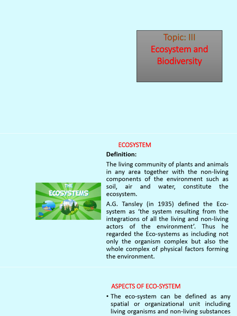 Ecosystem Structure and Function Explained | PDF | Ecosystem | Biodiversity