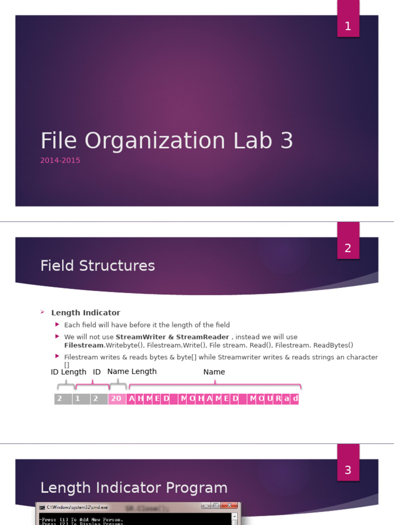 File Organization Lab 3 | PDF