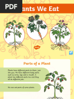 Edible Parts of Plants Explained | PDF | Fruit | Vegetables