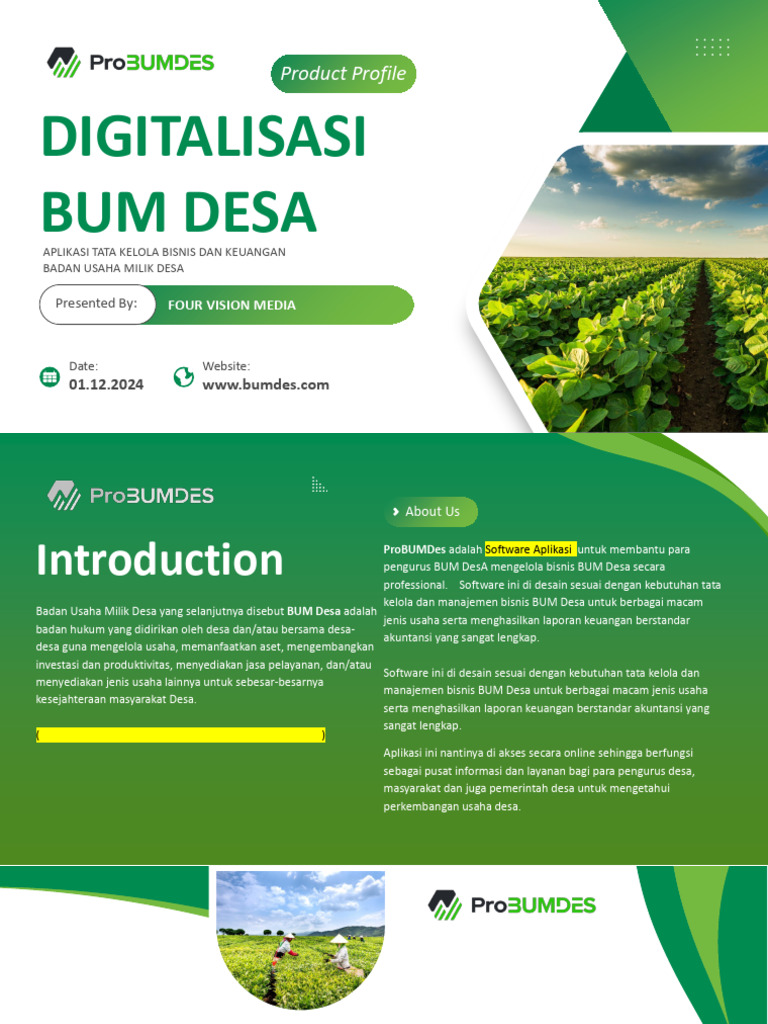 Product Profile - PRO BUMDES 2024 | PDF