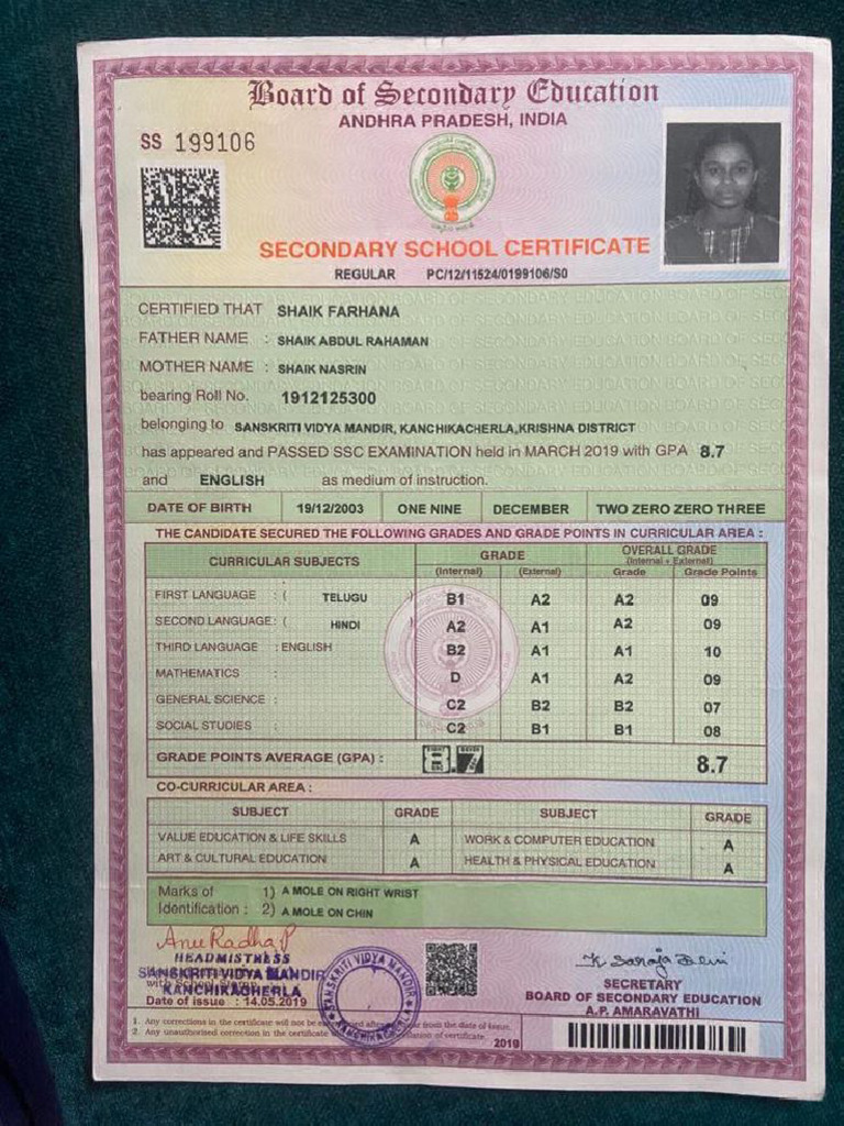 Matric Certificate | PDF