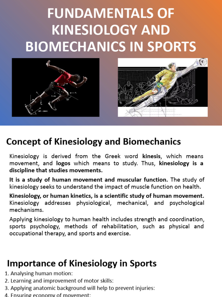 Fundamentals of Kinesiology and Biomechanics in Sports | PDF | Anatomical Terms Of Motion | Rotation