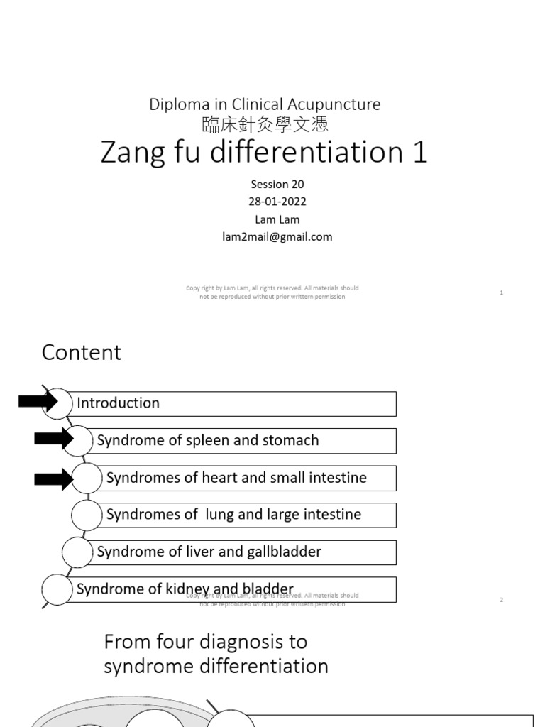 Zang Fu Differentiation1 Notes | PDF | Medical Specialties | Diseases ...