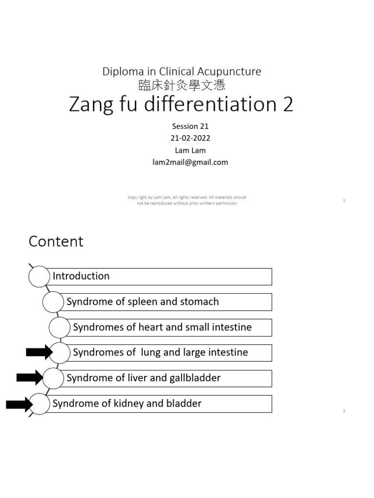 Zang Fu Differentiation2 Notes | PDF | Diseases And Disorders | Medical ...