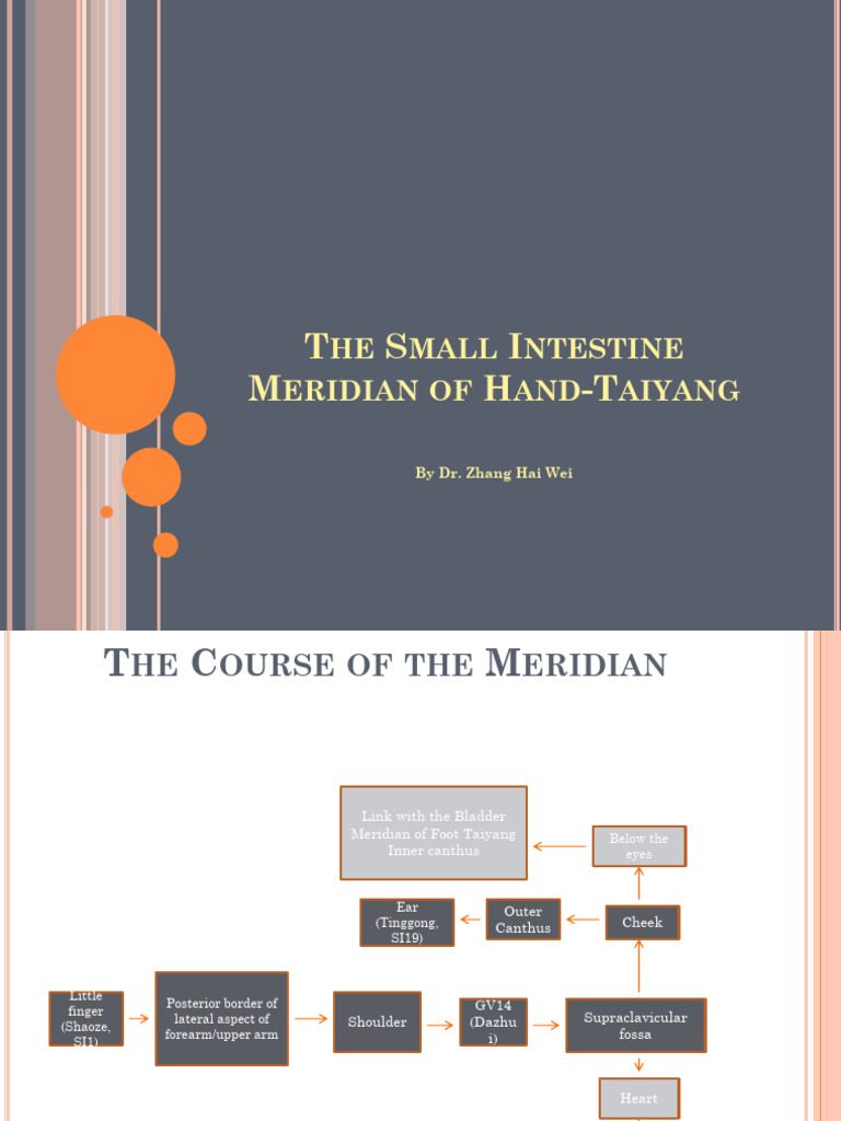 The Small Intestine Meridian of Hand-Taiyang Certificate | PDF | Elbow ...