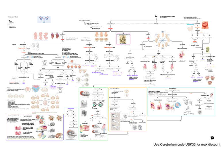 Normal & Abnormal Fetal Presentations (2) 2 | PDF