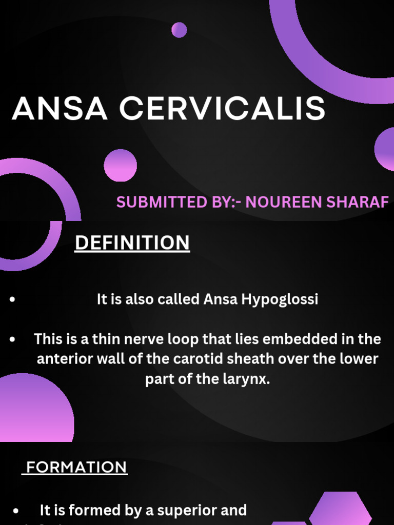 ANSA CERVICALIs - 20250517 - 212237 - 0000 | PDF