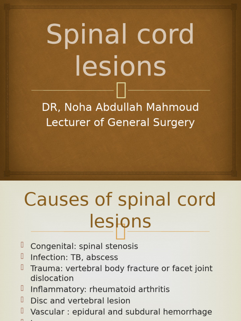 Spinal Cord Lesions | PDF | Spinal Cord Injury | Diseases And Disorders