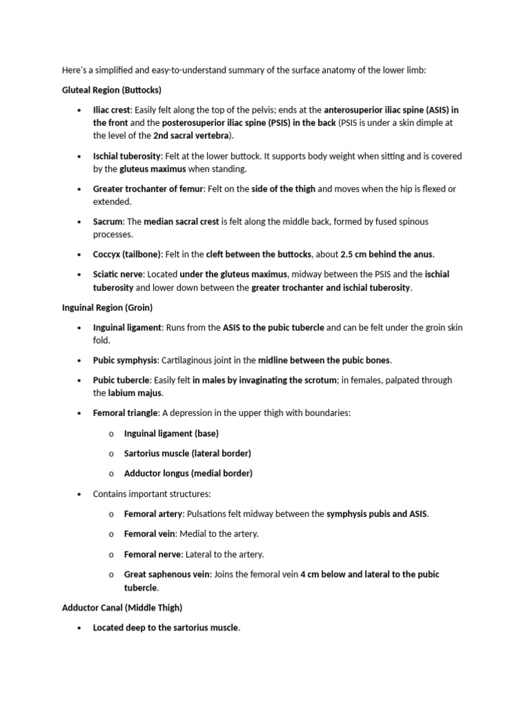 Surface Anatomy of Lower Limb | PDF | Knee | Foot