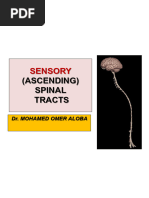 Ascending and Descending Tracts | PDF | Spinal Cord | Central Nervous ...
