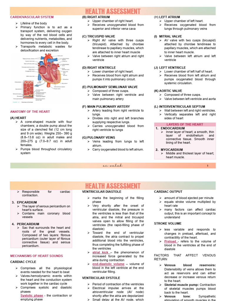 Anatomy and Function of the Heart | PDF | Heart Valve | Heart