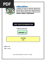 Mathematical Literacy Grade 11 Paper 1 June 2025 | PDF