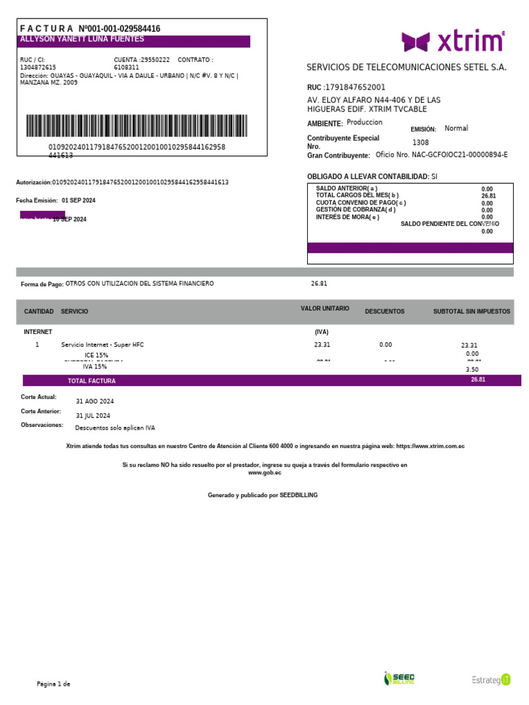 Factura Luna | PDF | Factura | Pagos