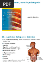 Reflejos Digestivos: Gastroileal e Ileocólico | PDF