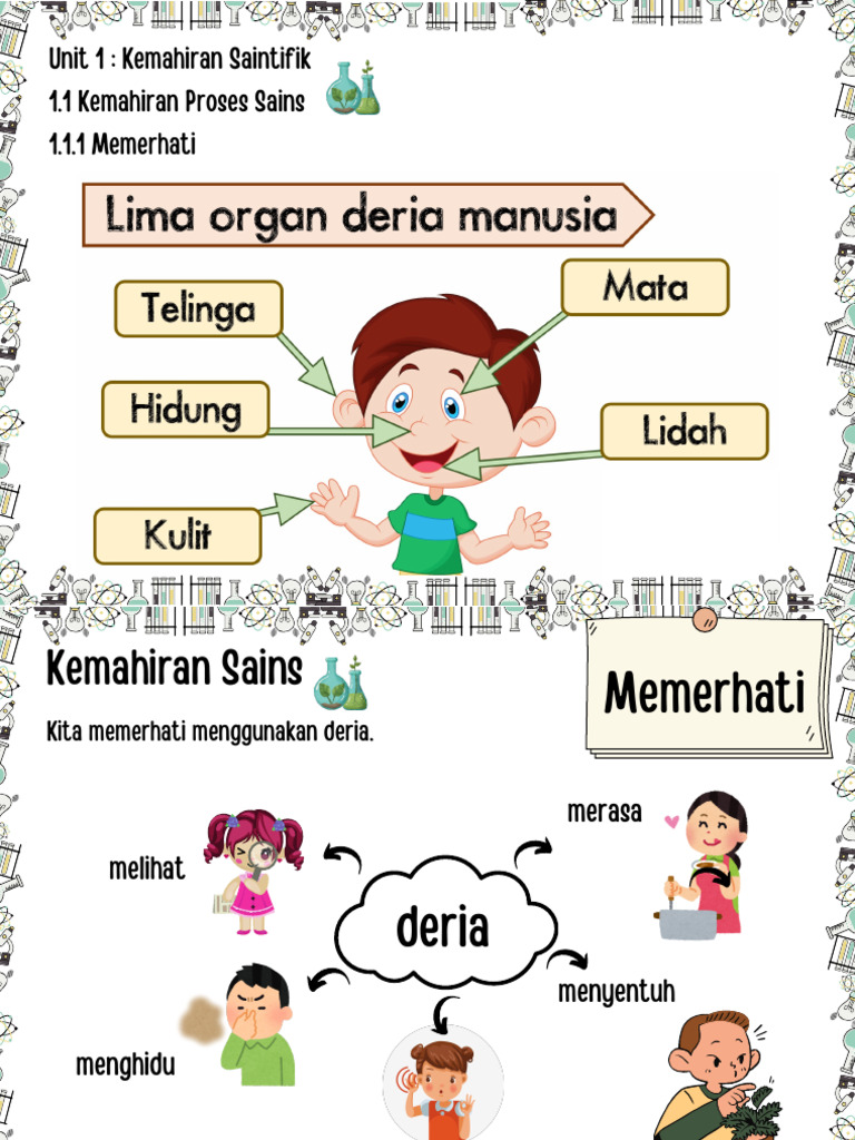 Sains Tahun 1 Nota Deria | PDF