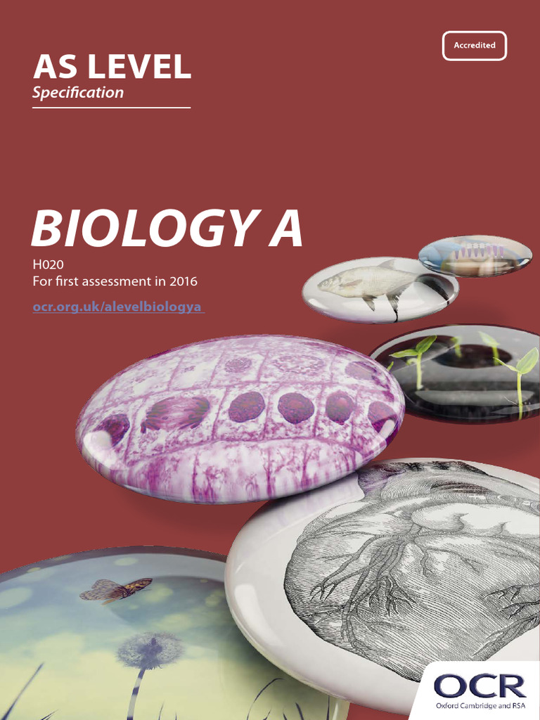 OCR AS Level Biology A Specification | PDF | Nucleotides | Dna