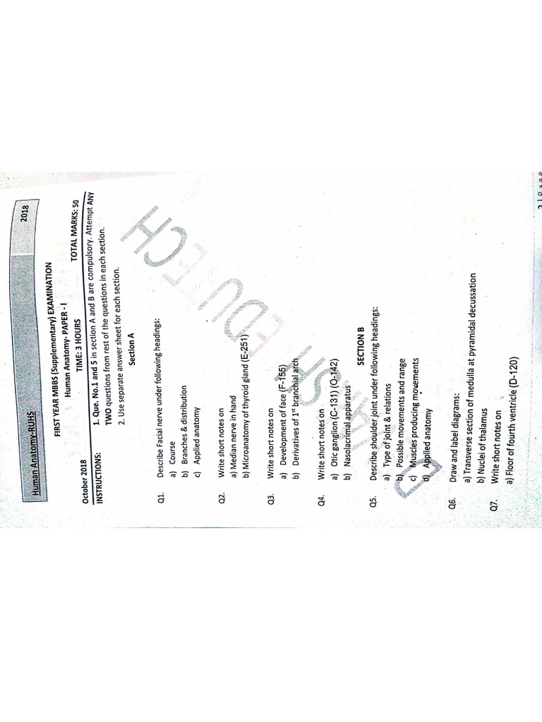 Anatomy Papers | PDF