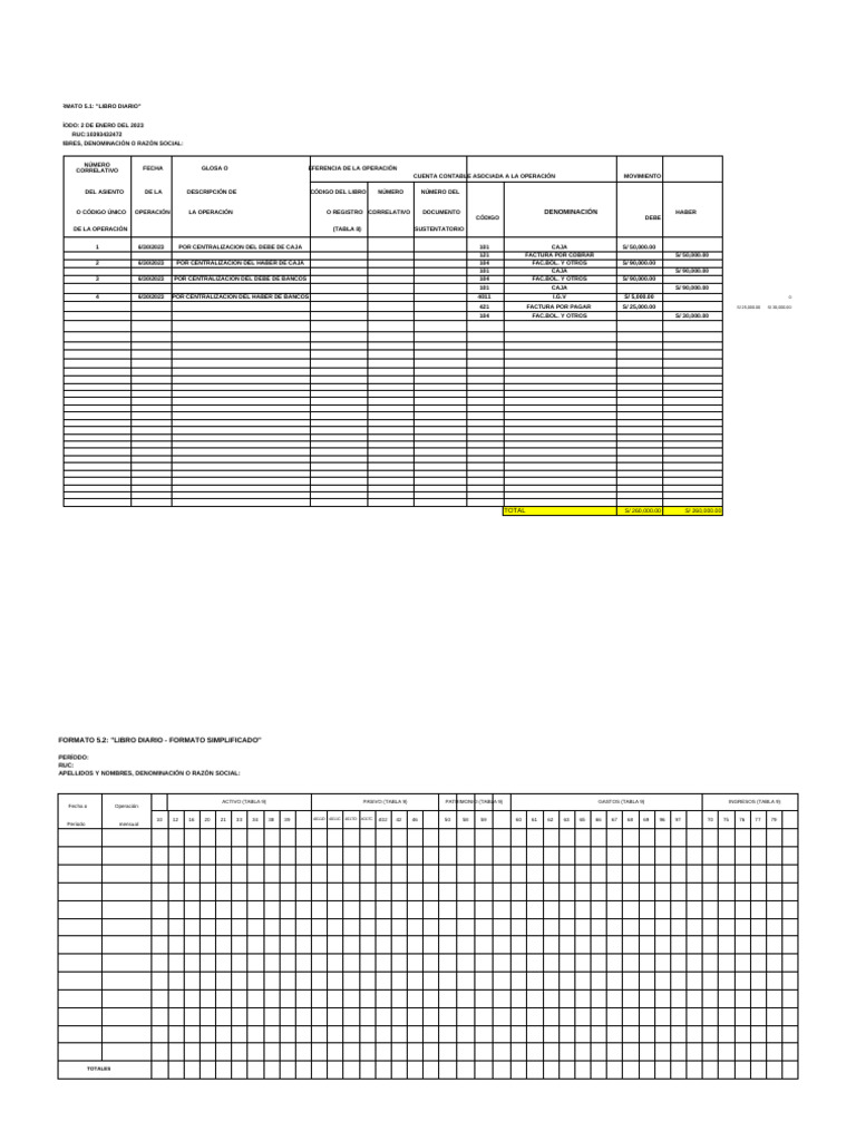 Formato 5.1: Libro Diario Contable | PDF