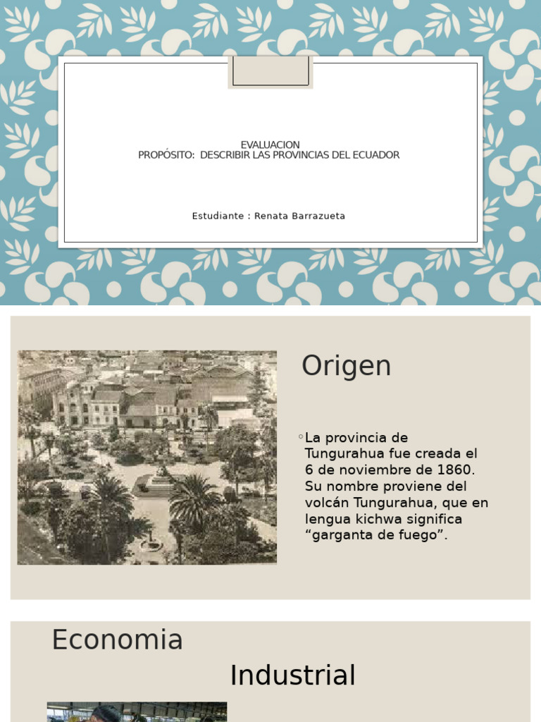 Presentación Reny | PDF