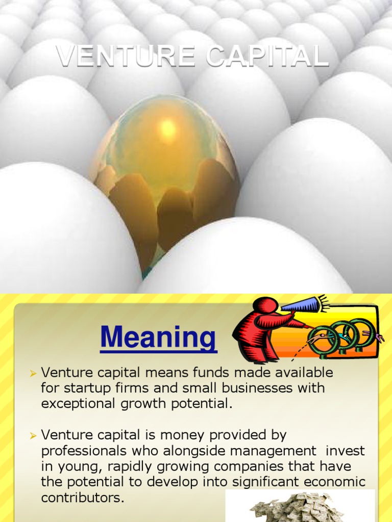 Venture Capital Insights | PDF | Finance & Money Management