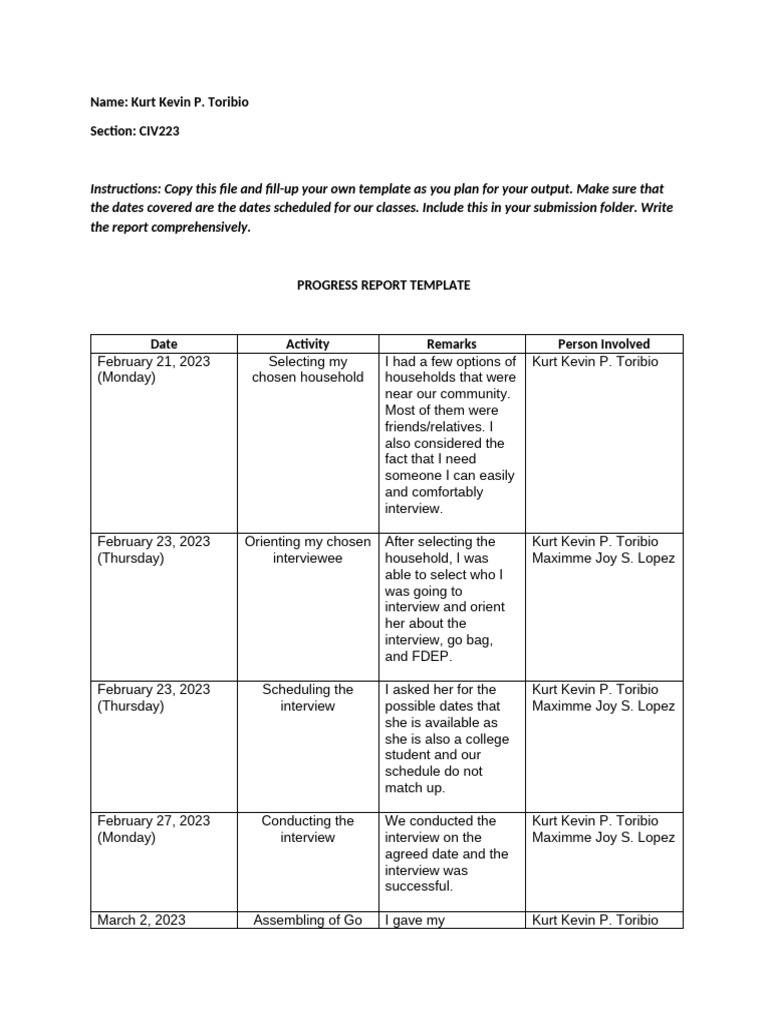 Progress Report Template | PDF