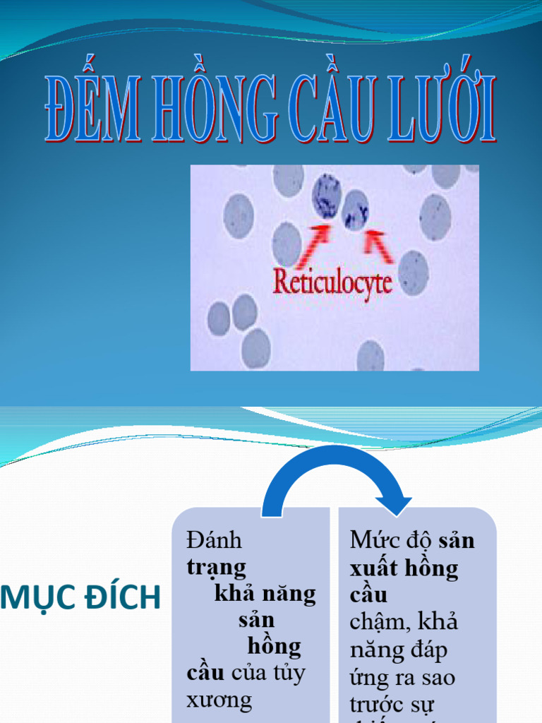 Hong Cau Luoi | PDF