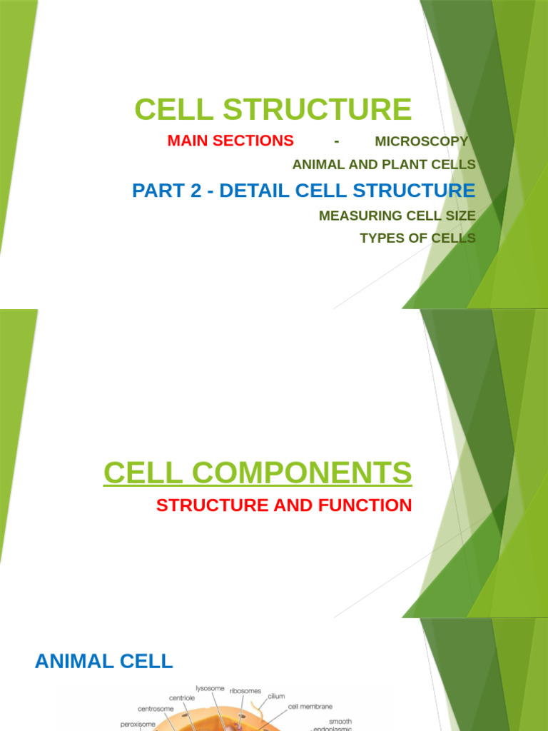CH 1 Cell Structure Part 2 Cell Organelles | PDF | Endoplasmic Reticulum | Cell (Biology)