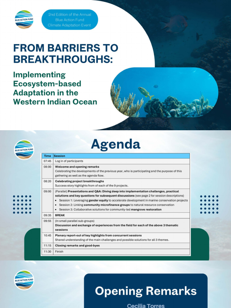 From Barriers To Breakthroughs Implementing Ecosystem-Based Adaptation ...