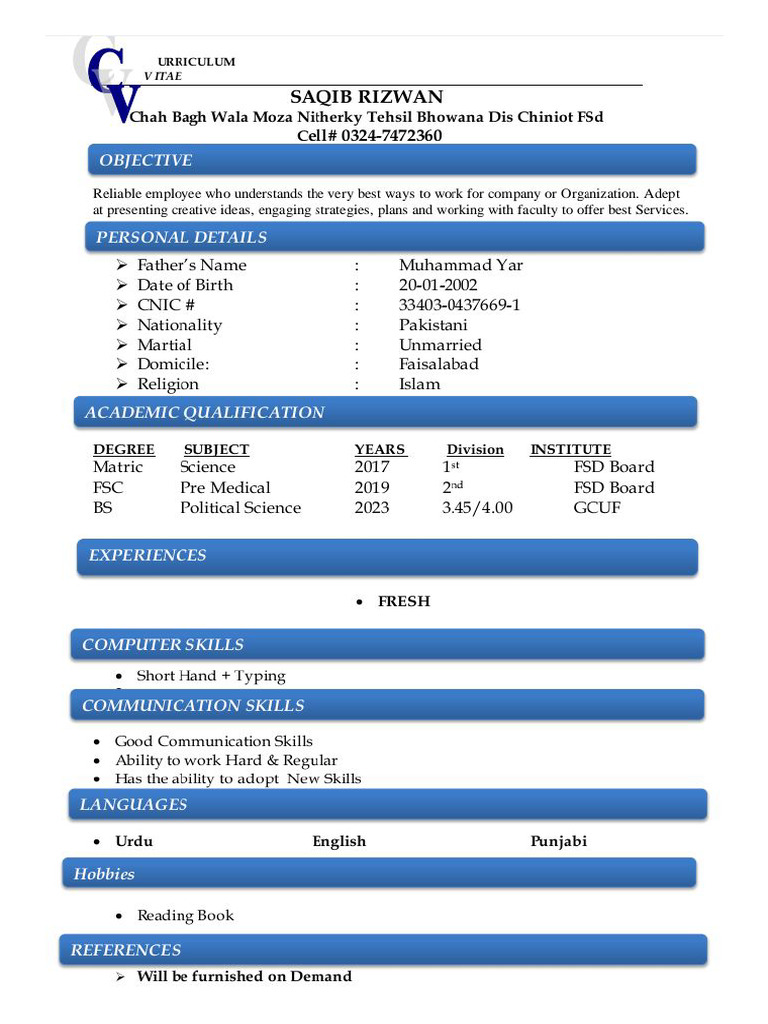Saqib New CV | PDF