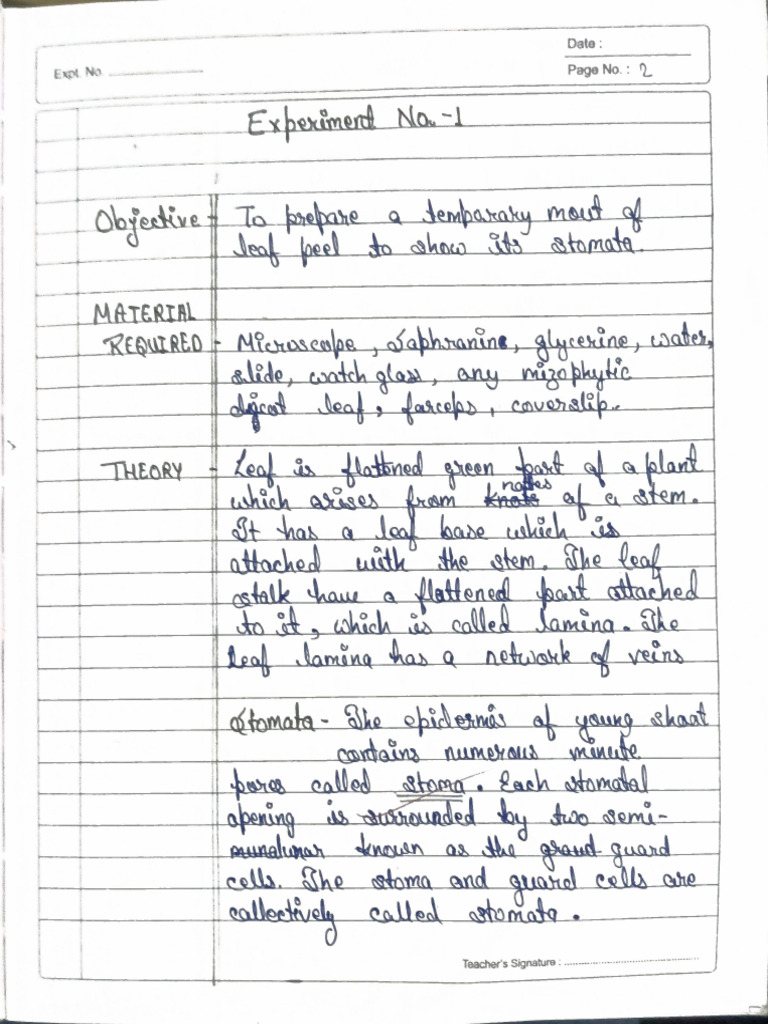 Sample Format For Writing Practical | PDF