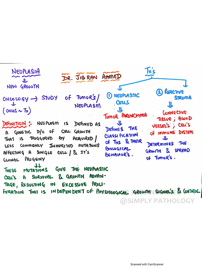 Neoplasia Pathology Notes by Jibran Ahmed | PDF