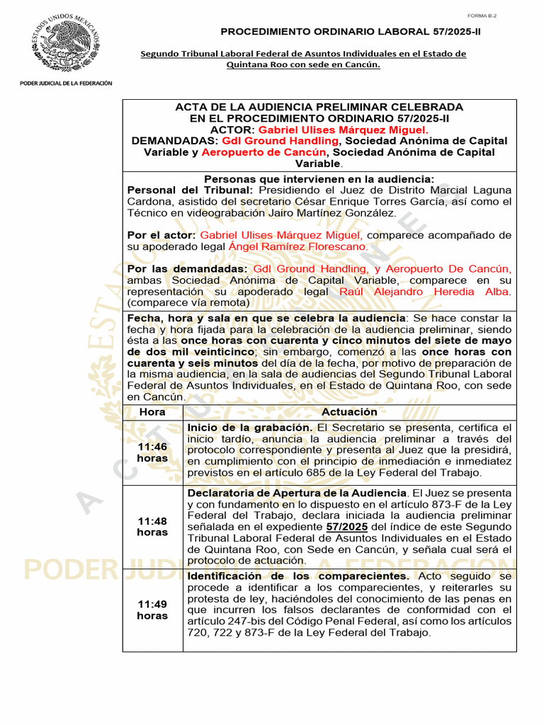 Acta Preliminar | PDF | Demanda judicial | Ley Pública