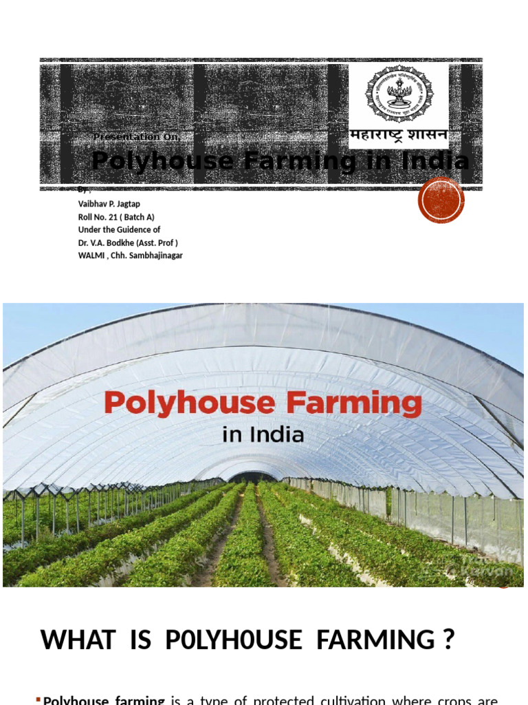 Polyhouse Farming (Vaibhav) | PDF | Agriculture | Greenhouse