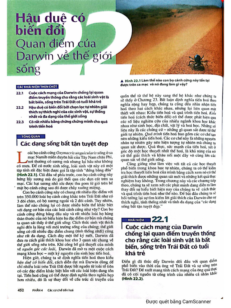 Hau Due Co Bien Doi | PDF
