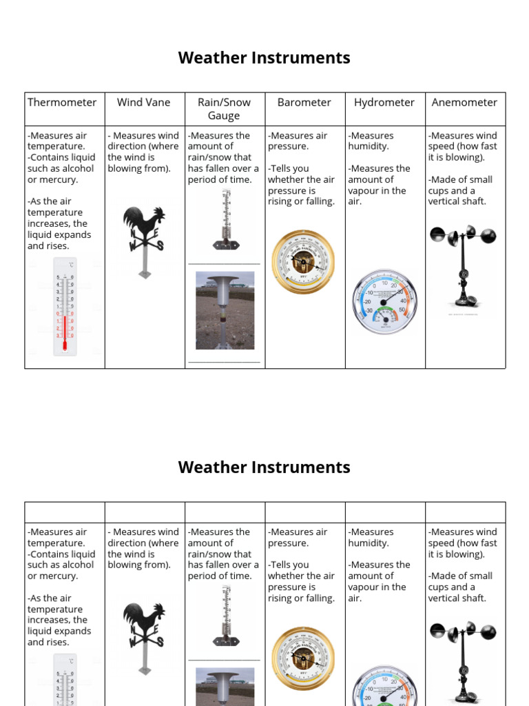 Weather Instruments: Thermometer Wind Vane Rain/Snow Gauge Barometer ...