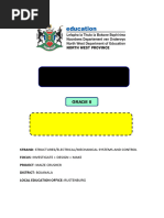 Grade 9 Technology Overview and Notes | PDF