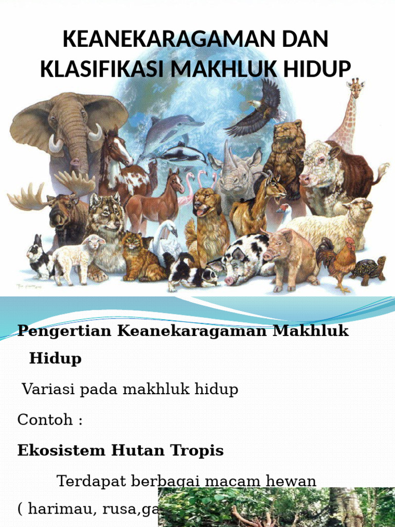 IPAS Keragaman Dan Klasifikasi Makhluk Hidup | PDF