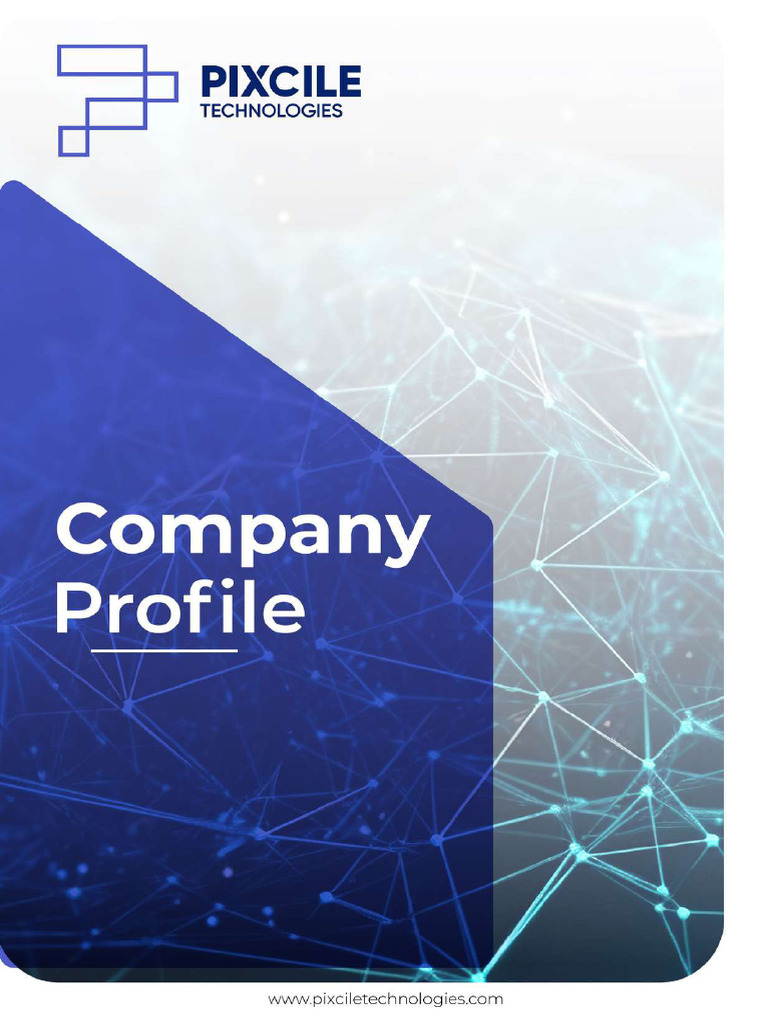 Company Profile (Pixcile) | PDF