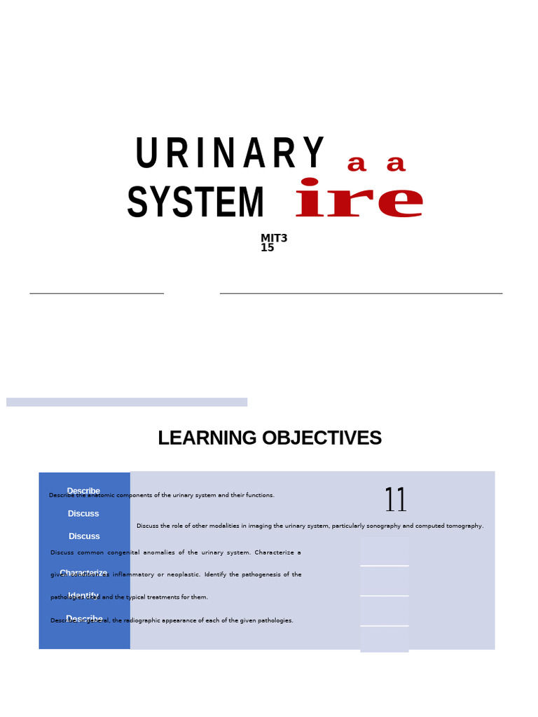 6.Urinary Pathology | PDF | Urinary System | Kidney