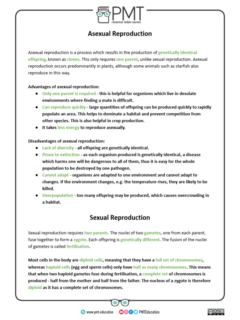 Summary Notes - Topic 16 Reproduction - CAIE Biology IGCSE | PDF ...