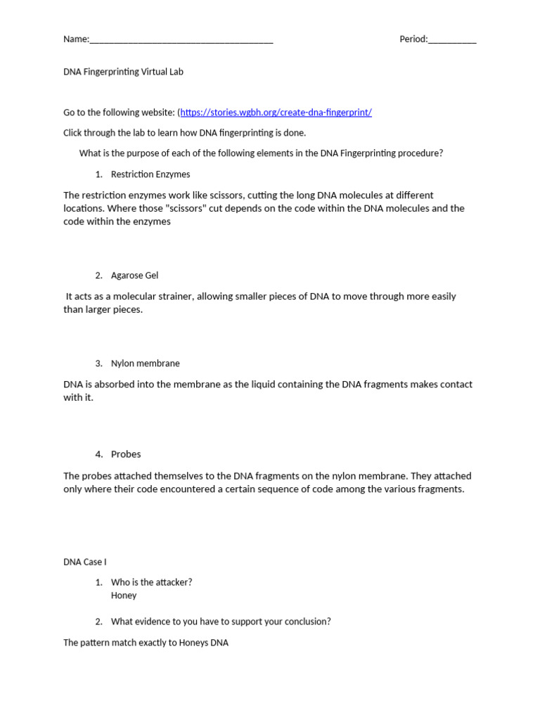 DNA Fingerprinting Virtual Lab Guide | PDF