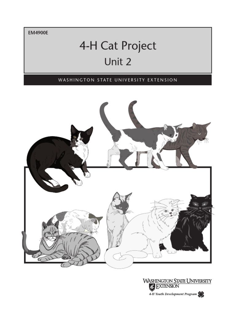 4-H Cat Project Unit 2 Guide | PDF | Cats | Cat Breeds