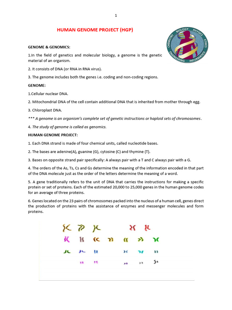 Print Human Genome Project | PDF | Genome | Dna