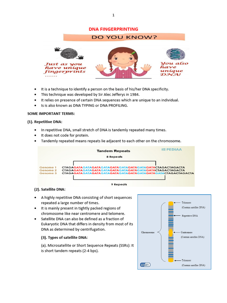 DNA Fingerprinting Techniques Explained | PDF | Dna | Microsatellite