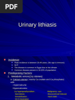 Urology Medical Terminology Guide | PDF | Urinary System | Kidney