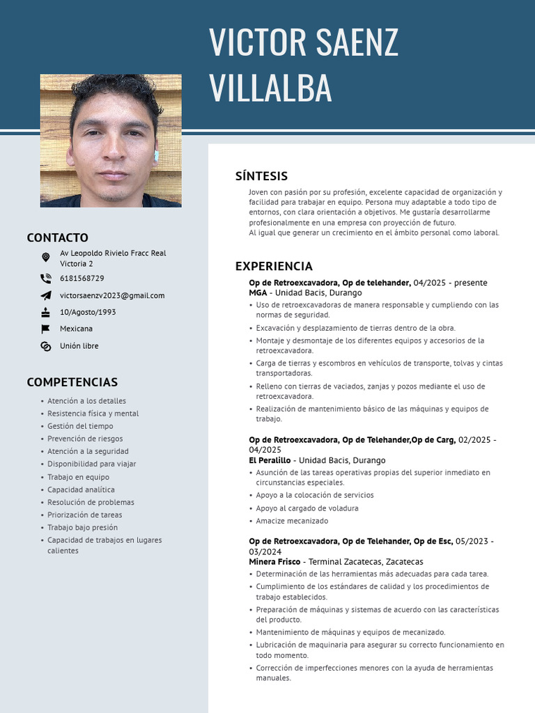 Perfil Profesional de Víctor Sáenz Villalba | PDF