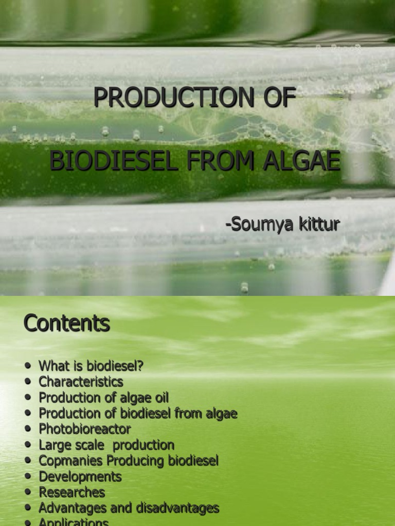 Production of Biodiesel From Algae | PDF | Algae Fuel | Biodiesel