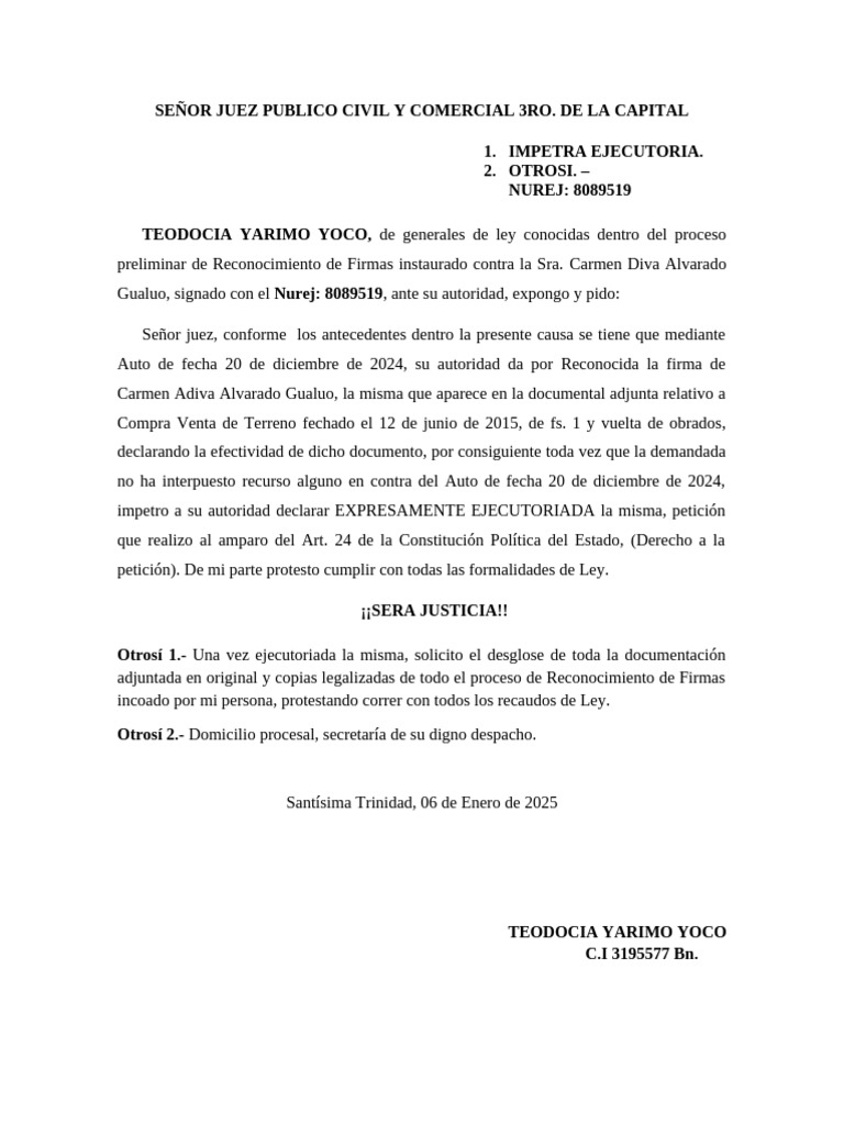 Ejecutoria de Sentencia Doña Teo | PDF