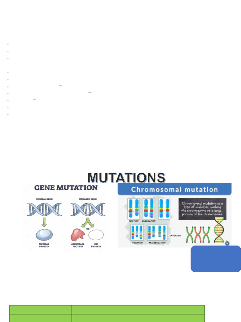 Mutations and Genetic Engineering | PDF | Genetic Engineering | Mutation