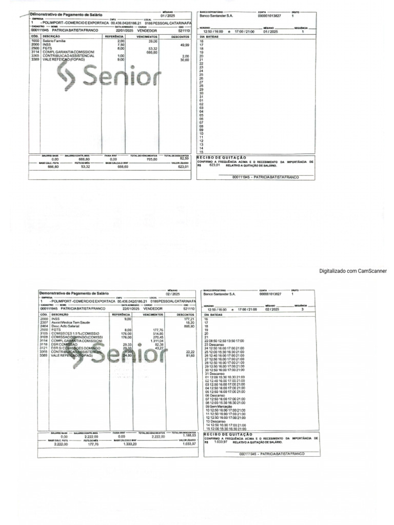 Holerite Patrícia | PDF